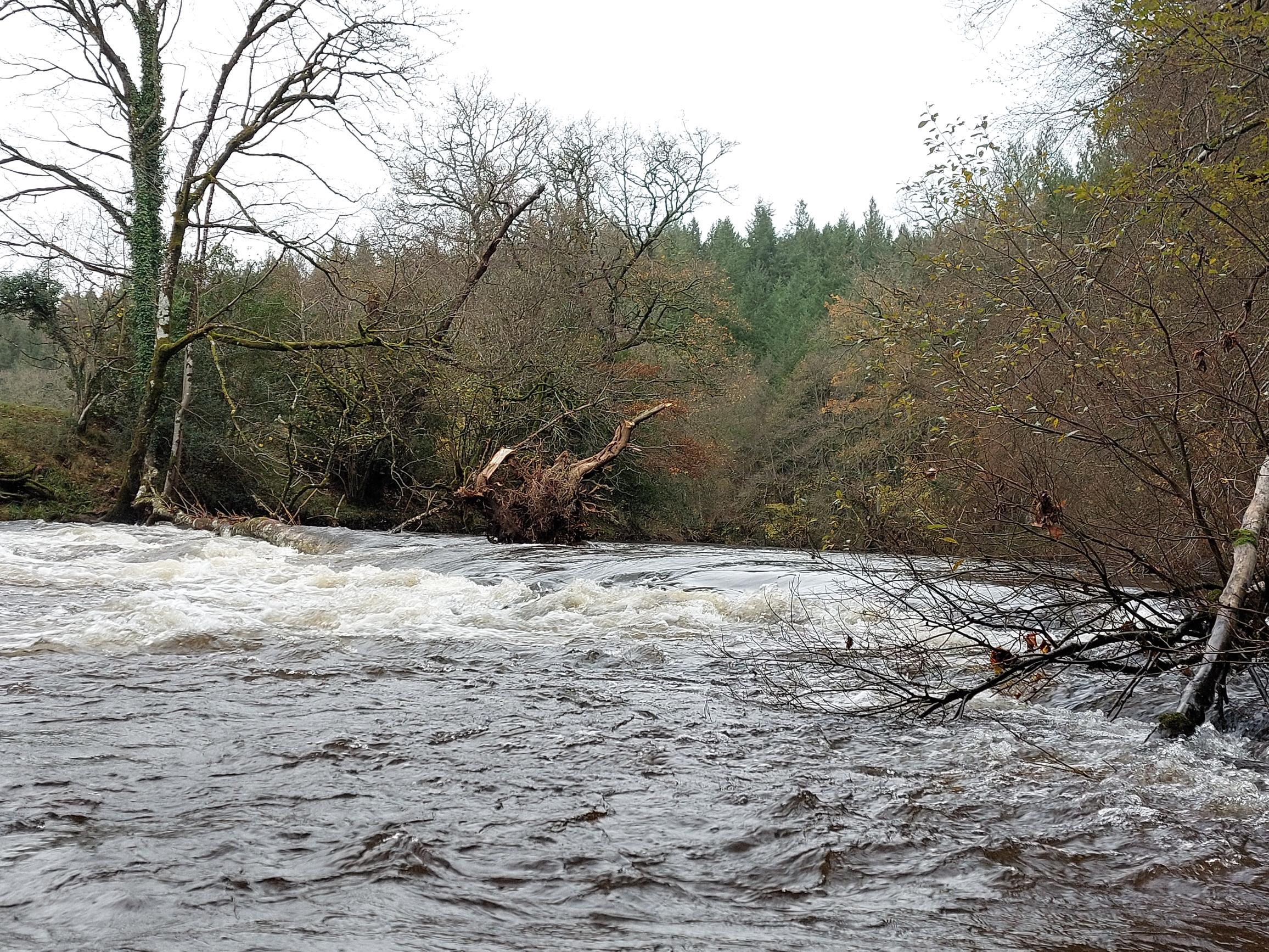 Tree across Usk below Aberyscir – South Wales Outdoor Activity ...