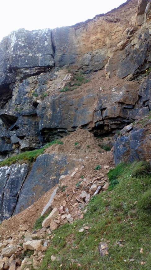 Cliff collapse near Lonely Shepherd, Clydach Gorge – South Wales ...