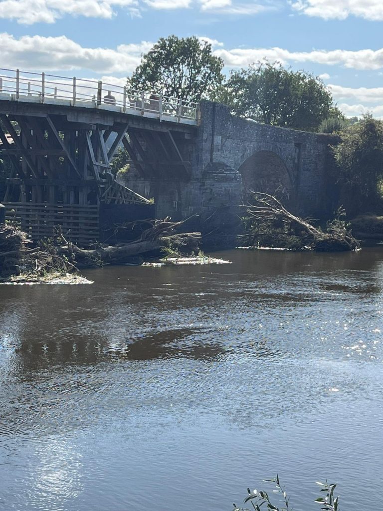 Tree hazards at Whitney toll bridge – South Wales Outdoor Activity ...